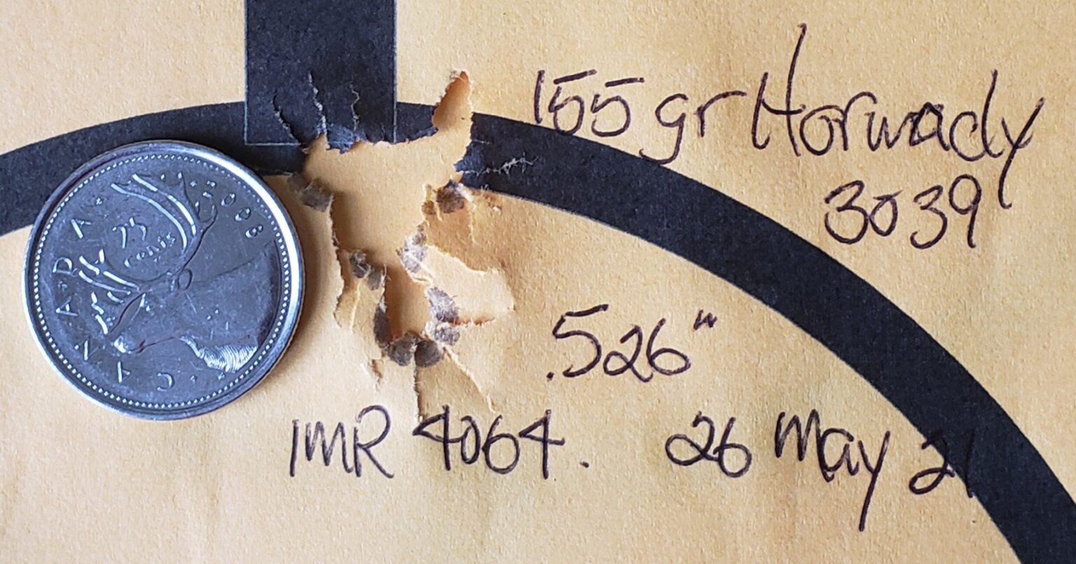 A Modern, Long Range 303 Rifle? - 303british.com